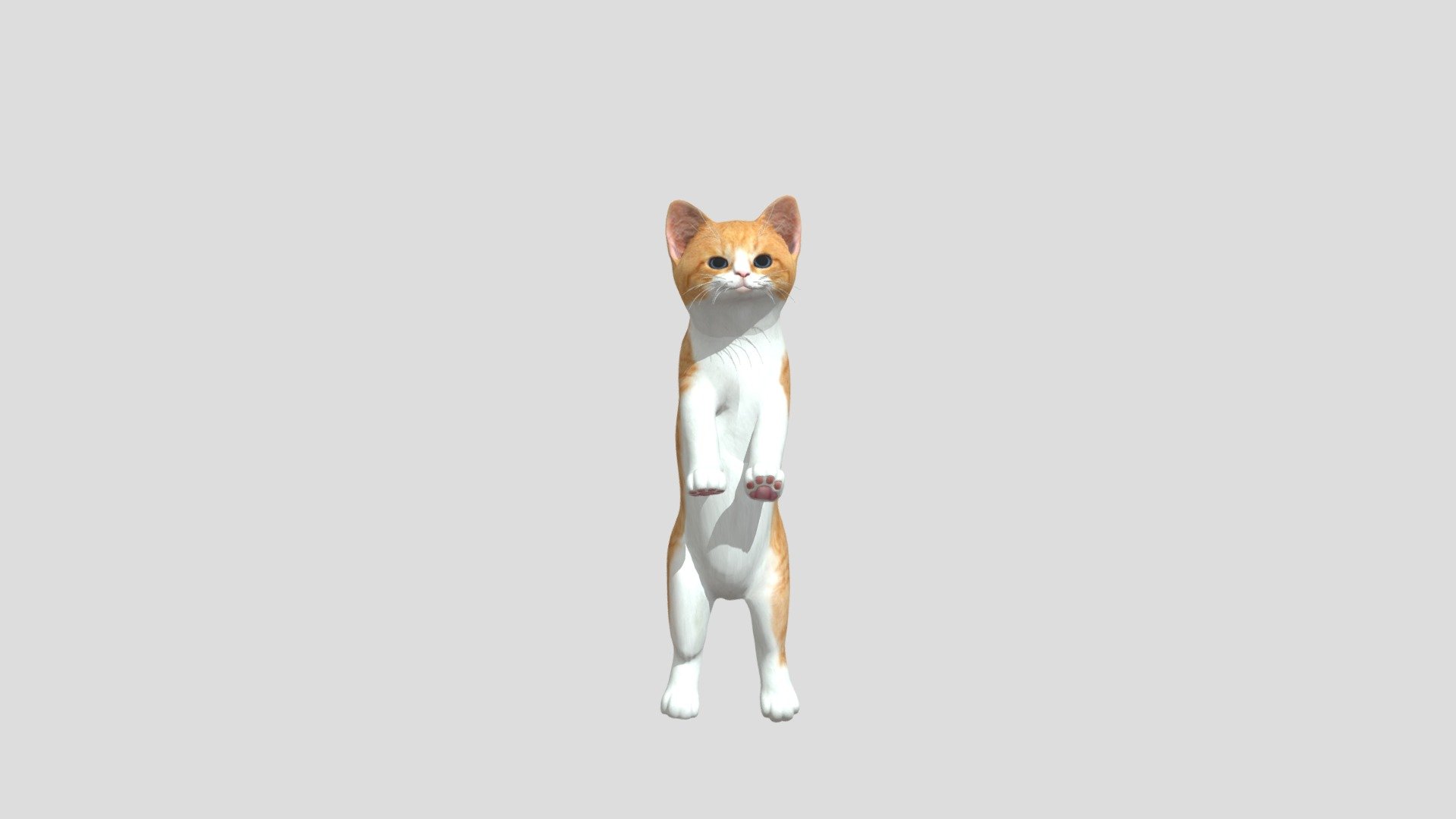 cat - Download Free 3D model by phuckhoahoctunhien [bfbb461] - Sketchfab