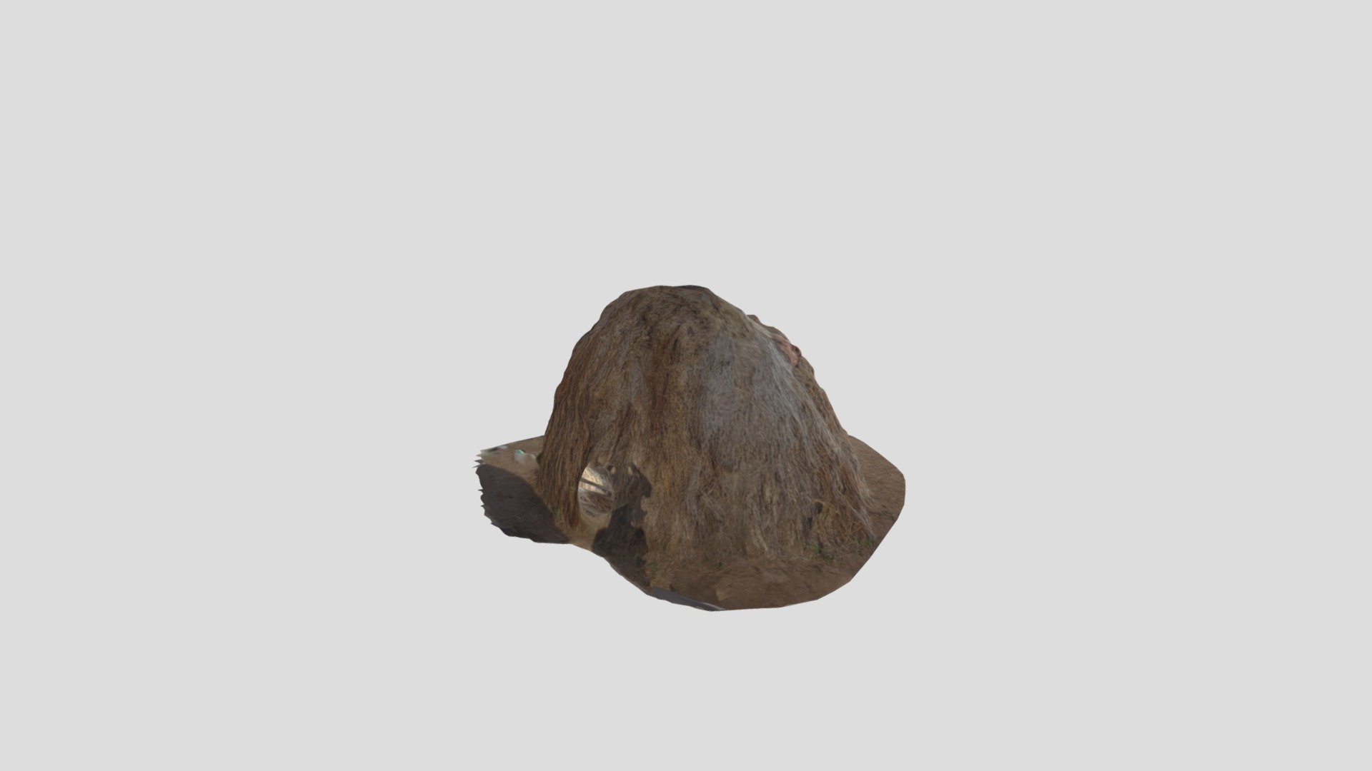Ethiopian Mursi house - 3D model by ten jan (@tenjan) [bfca6bc] - Sketchfab