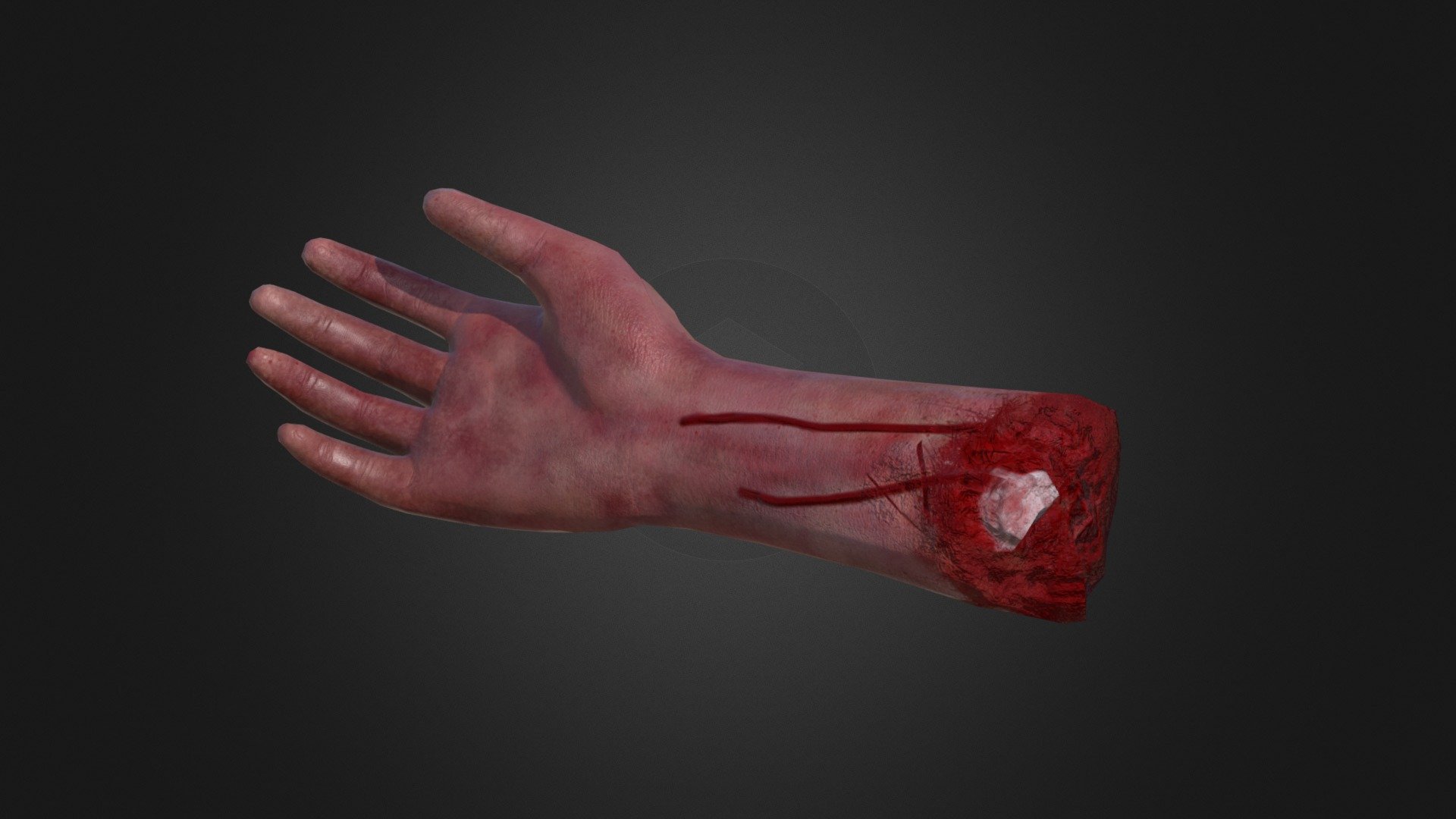 Severed Hands Low Poly - Download Free 3D model by Ray (@Ray2492 ...