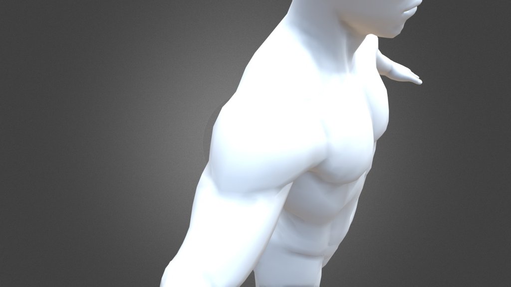 Blank Male Human - 3D model by enactpros [bfd3dea] - Sketchfab