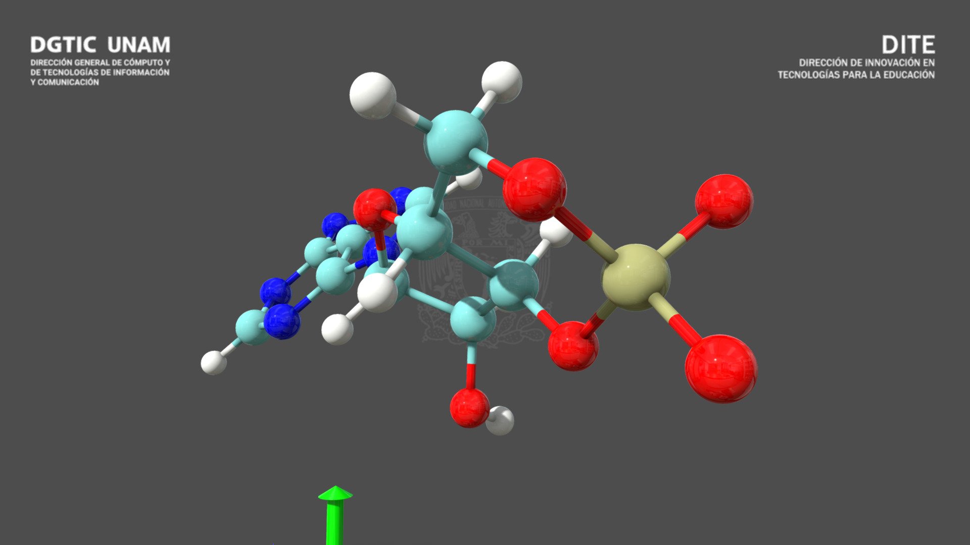 Eve3D Nucleótido Desoxirribonucleótido AMP - 3D model by UNAM | DGTIC | DITE | DRDE (@DRDE_UNAM ...