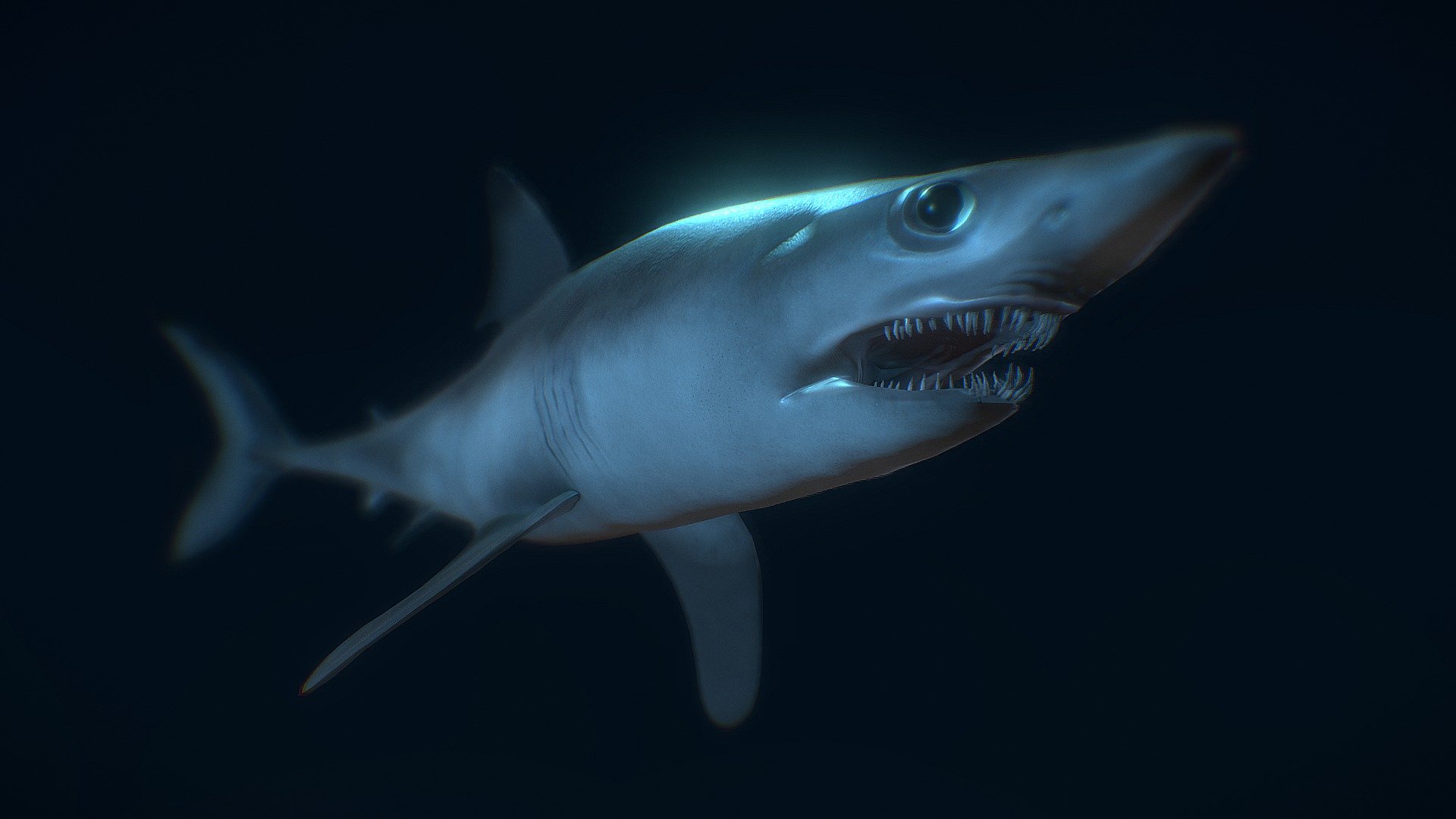 Shark Mako (animated) - 3D model by Andrey (@andrey.) [bfdc209] - Sketchfab
