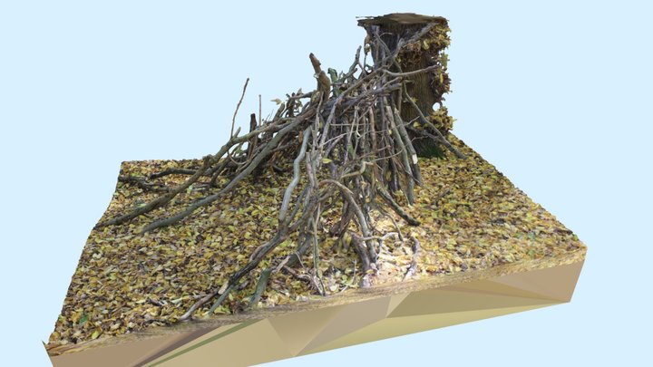 Sticks 3D models - Sketchfab