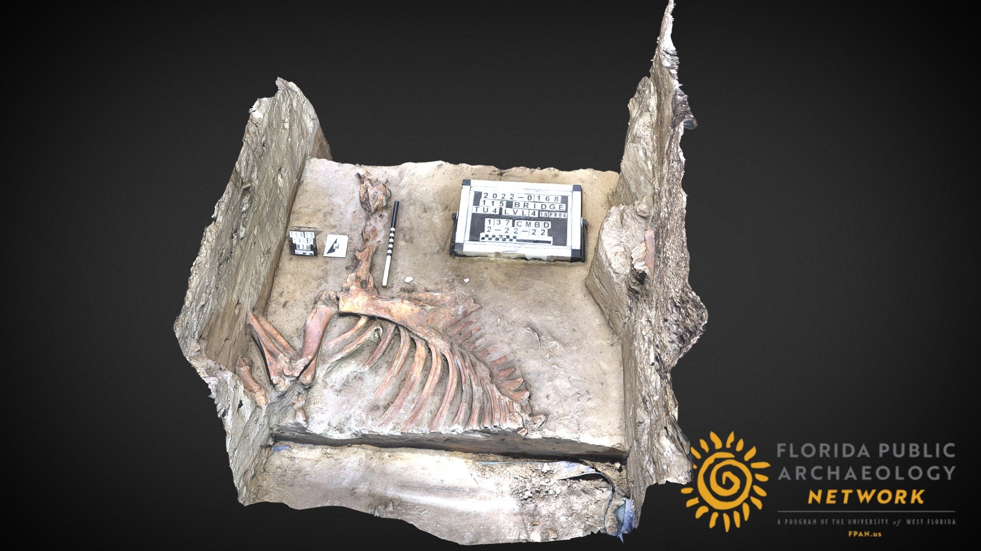 Donkey Burial - 3D model by Florida Public Archaeology Network (@fpan ...