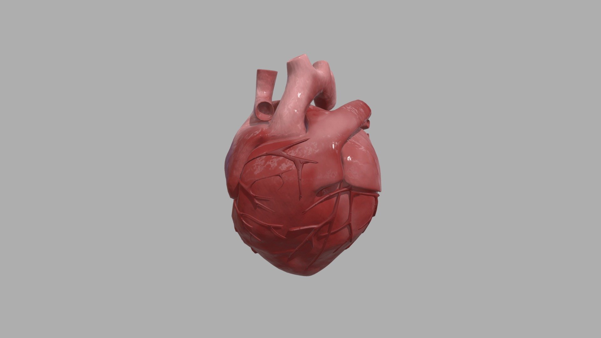 Heart - 3D model by Arpit.thakor [bfee315] - Sketchfab