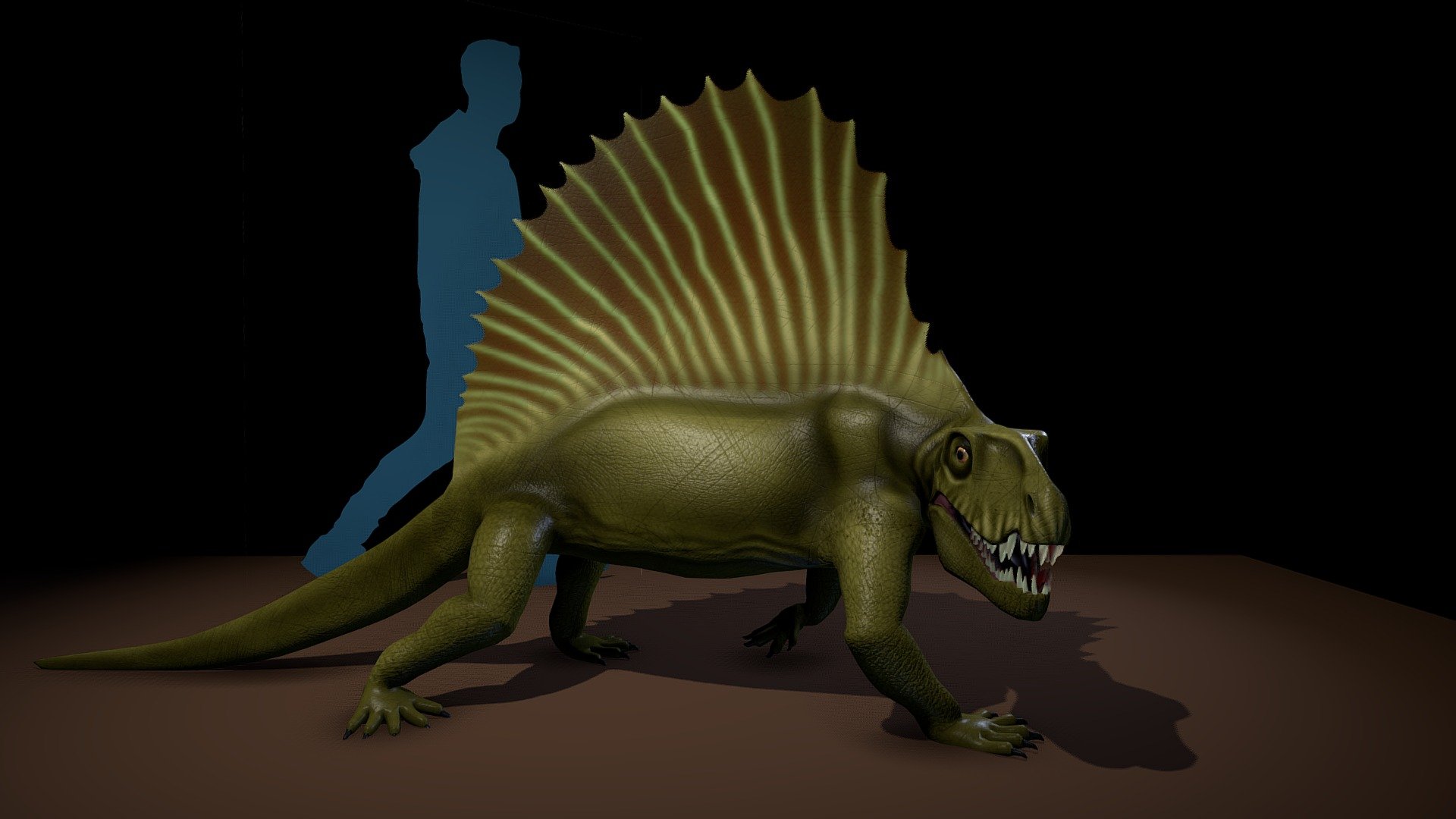 Dimetrodon - 3D model by MikeBG [bff8214] - Sketchfab