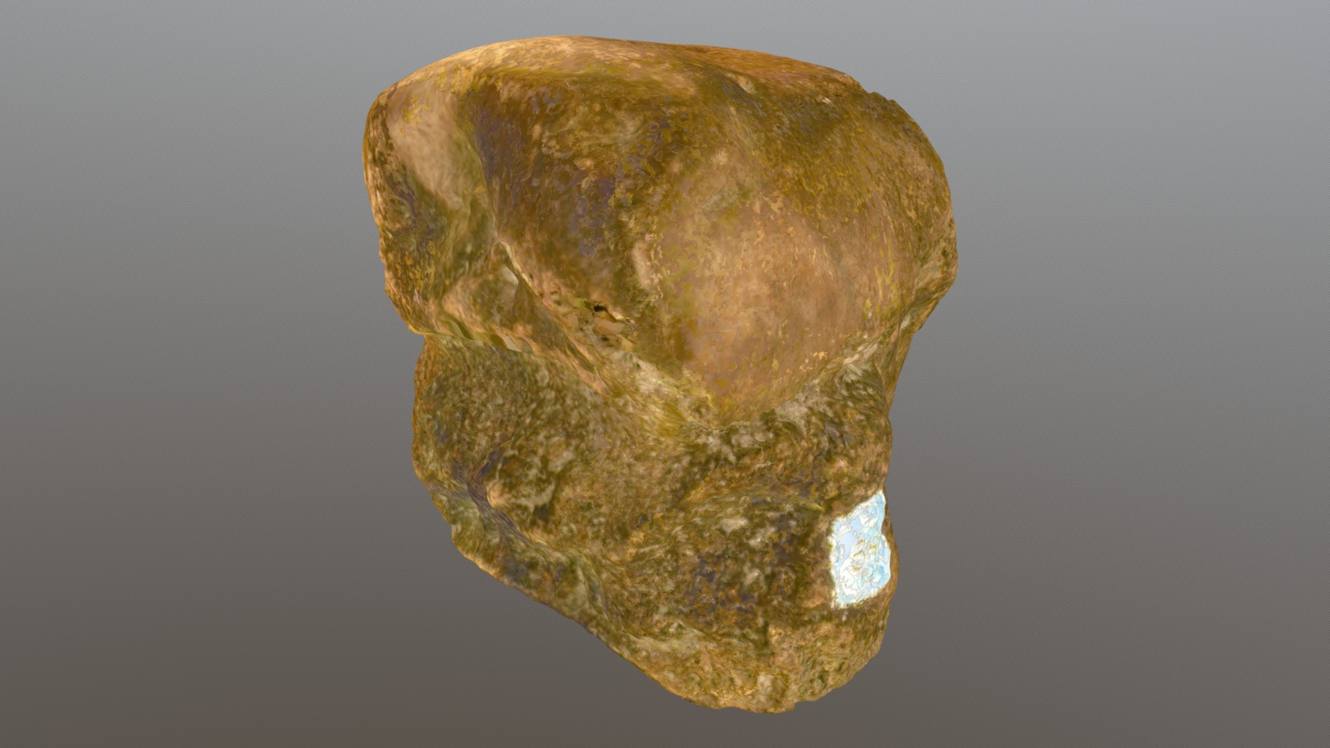 Mastodon Foot Bone (VCU_3D_3788) - 3D model by Virtual Curation Lab ...