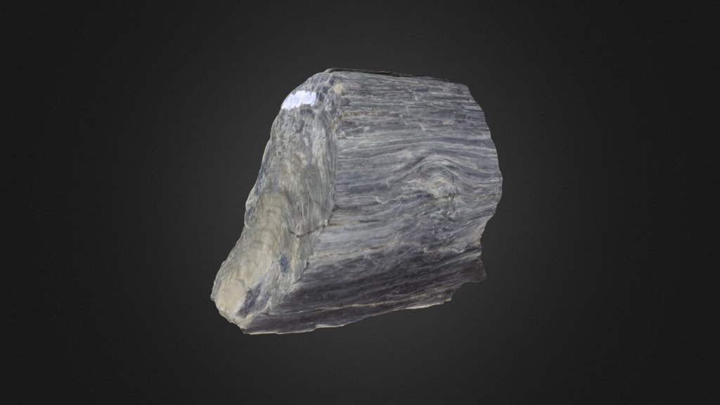 CC0 Highlights - A 3D model collection by Digital Atlas of Ancient Life ...