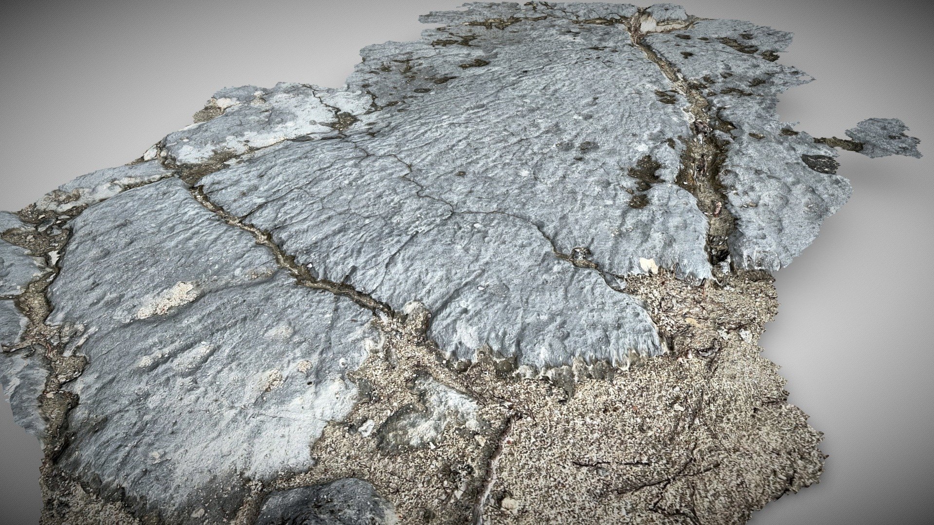 micro-atoll fossile - Download Free 3D model by JFleury [bfff931 ...