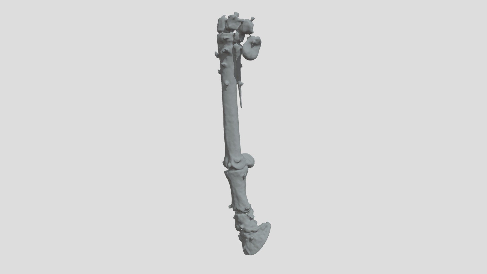 mesh_medpoly_obj - 3D model by isabela.griestu06 [c0038a7] - Sketchfab