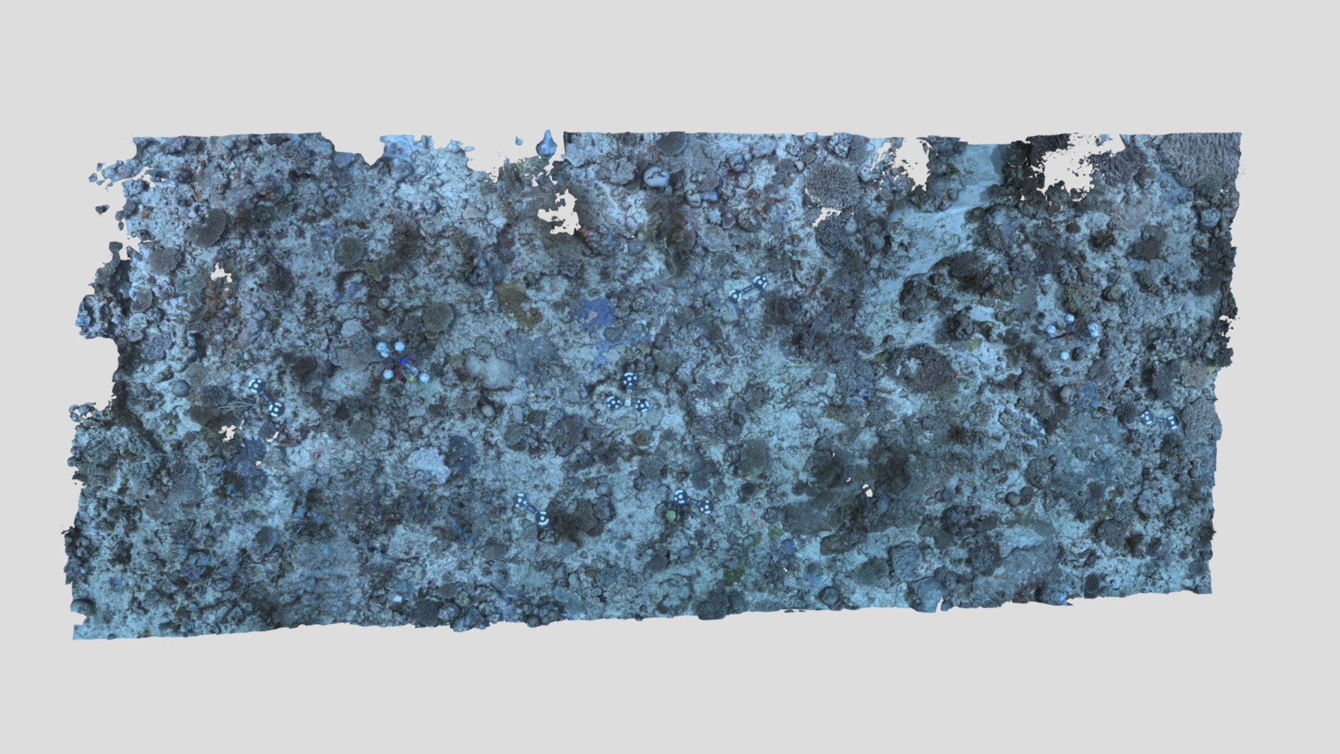 Heron_BA1D_P3_202105 - 3D model by EcoRRAP (@AIMSEcoRRAP) [c004732 ...