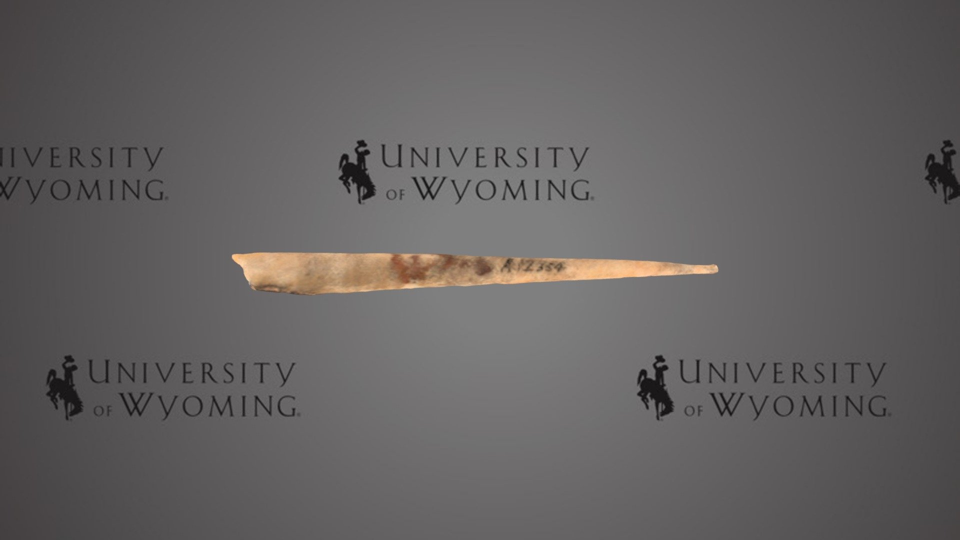 UWG A12354 B - Download Free 3D model by University of Wyoming ...