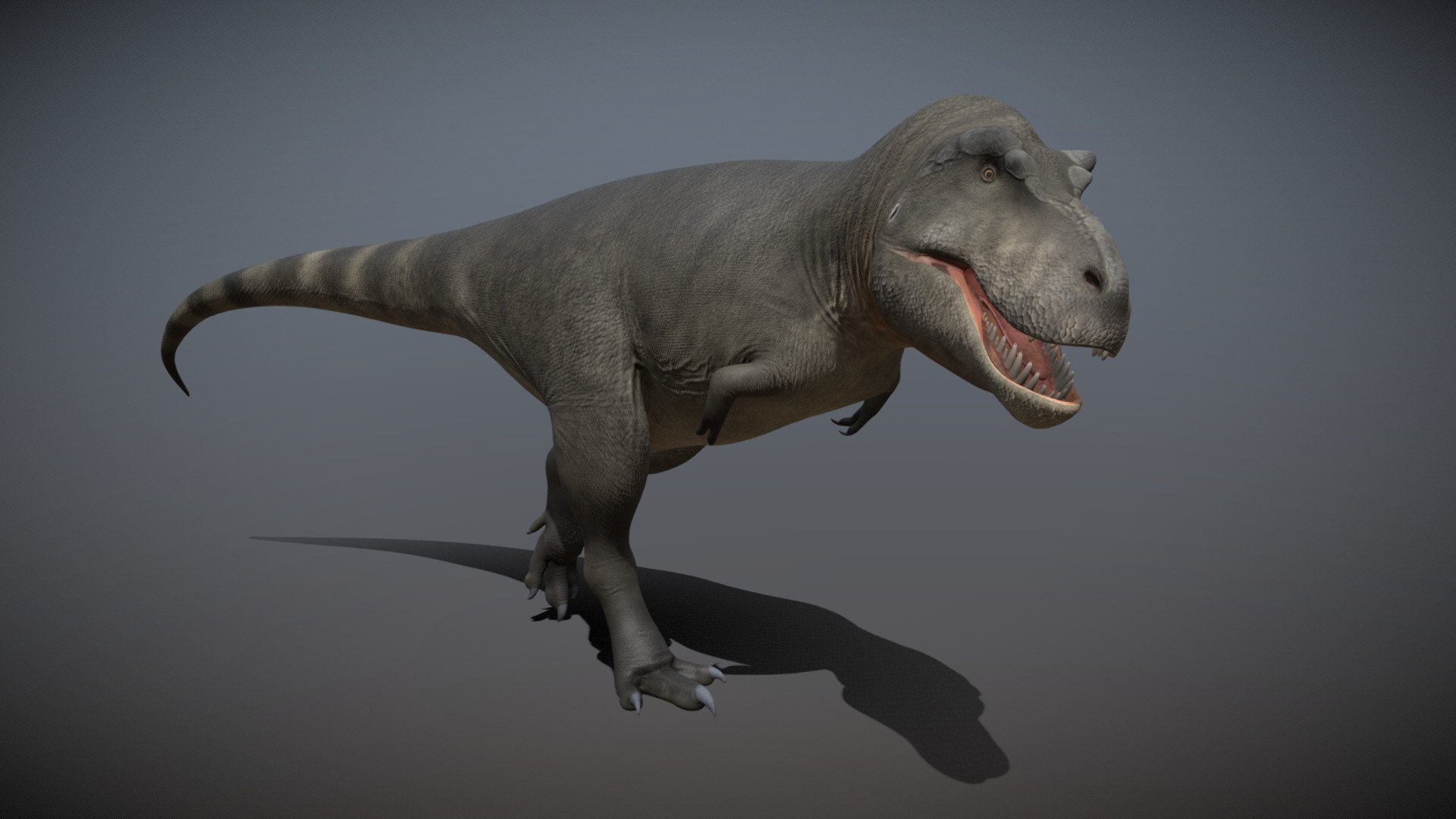 Tyrannosaurus rex - 3D model by lacerda.julio [c012e59] - Sketchfab