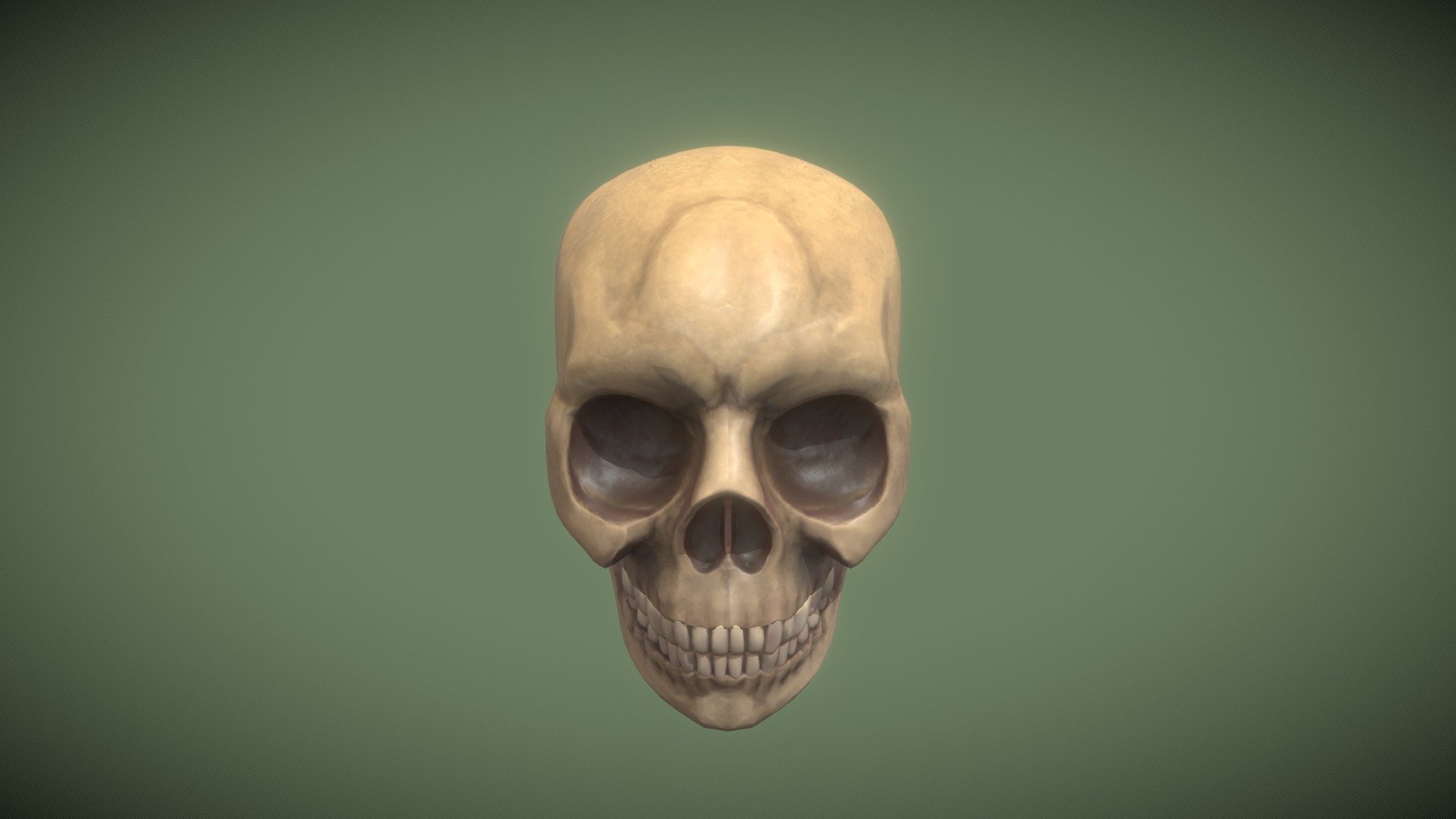 Stylized Skull - 3D model by exxxept [c01800d] - Sketchfab