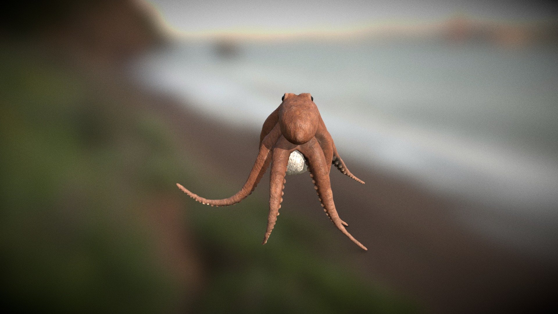 Octopus - 3D model by Alex (@alex3dspb) [c01917b] - Sketchfab