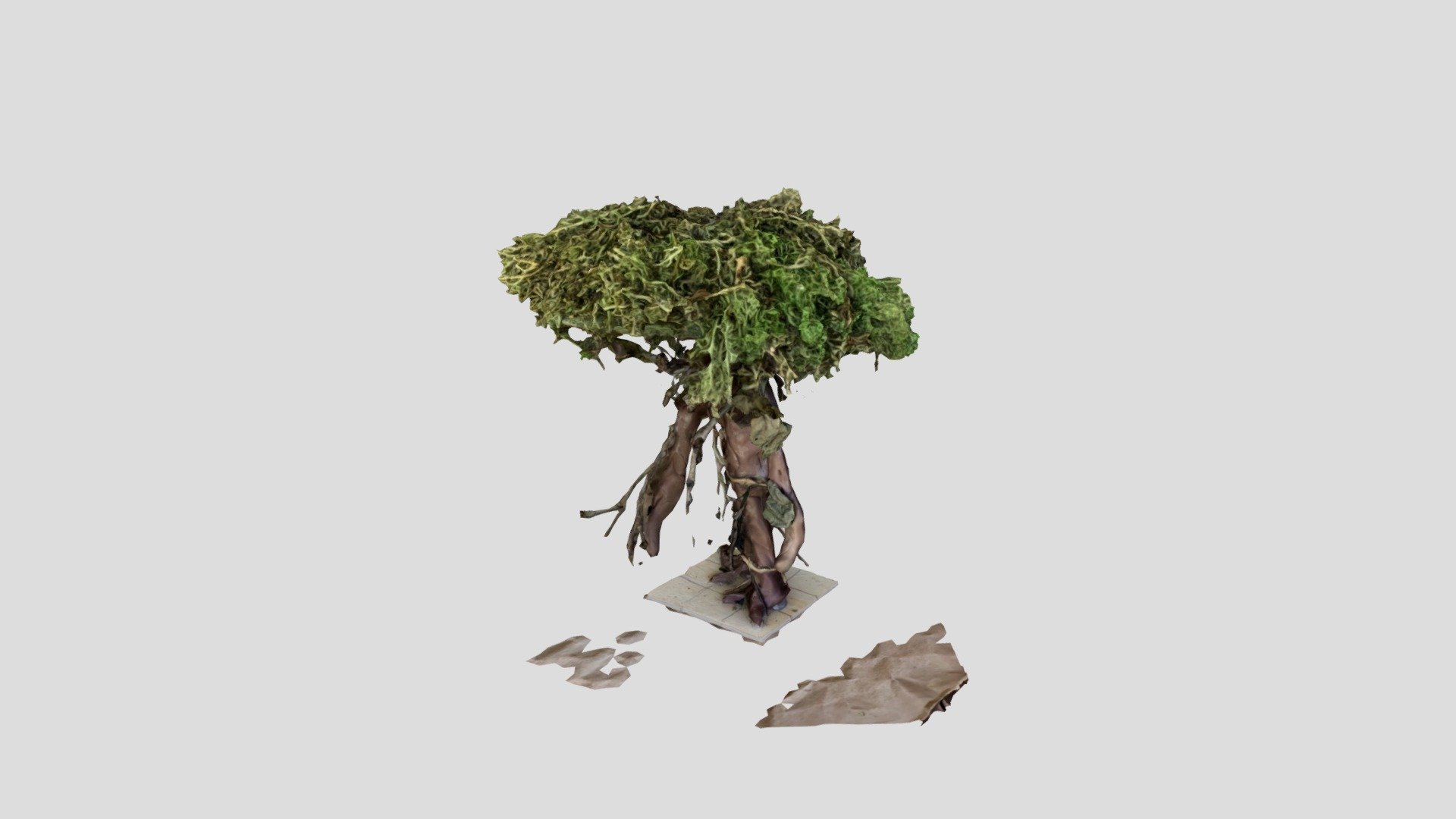 Awakened tree - Download Free 3D model by thequartermexican [c0243f0 ...
