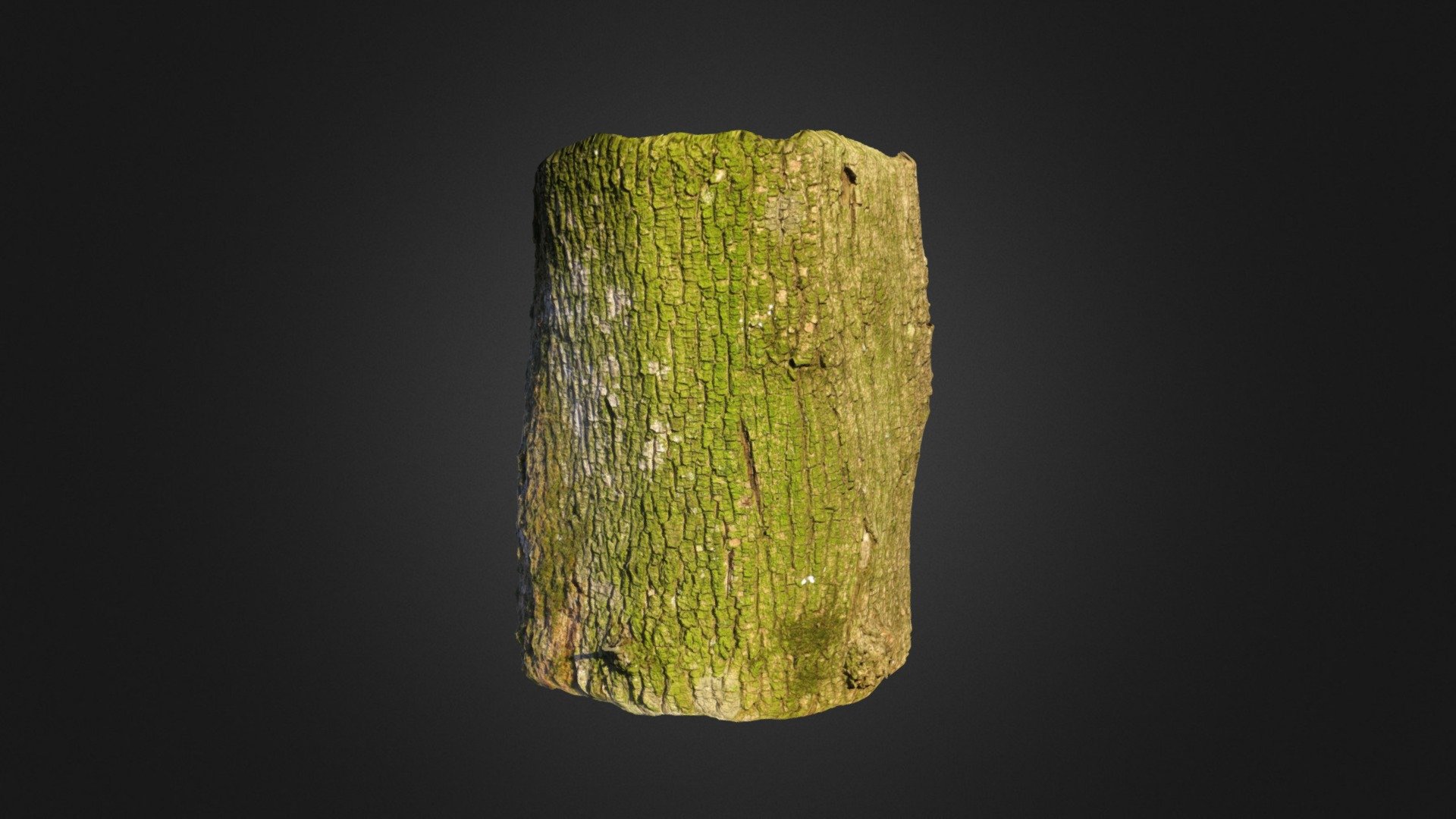 Tree chunk - 3D model by SenYul [c026d31] - Sketchfab