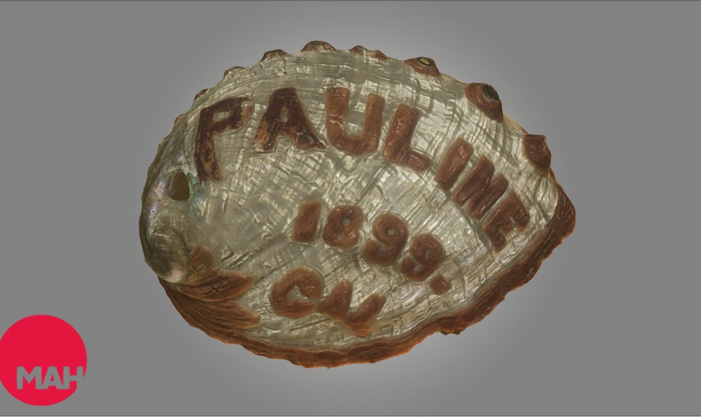 Abalone Shell - 3D model by Santa Cruz Museum of Art and History ...