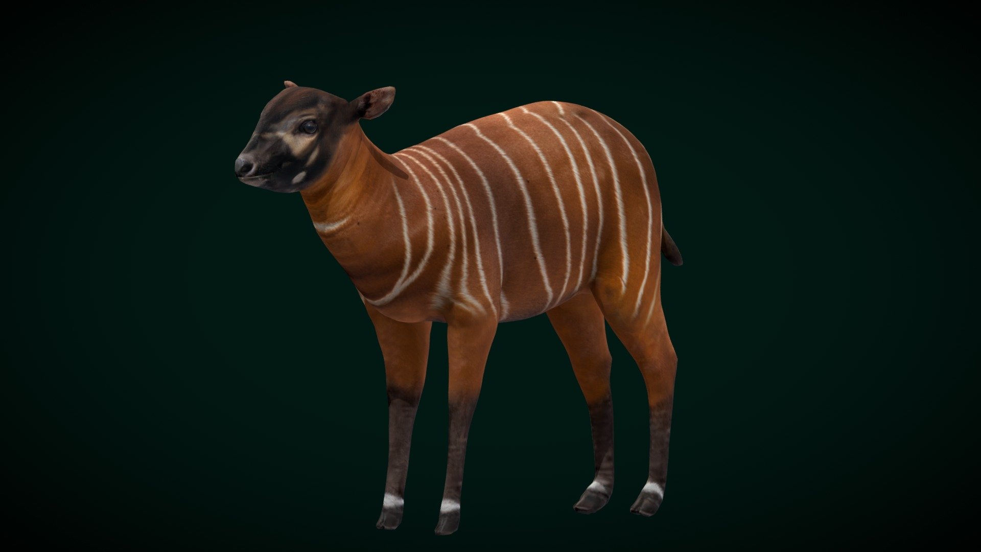 Eastern Bongo Calf Antelope (Endangered) - Buy Royalty Free 3D model by ...