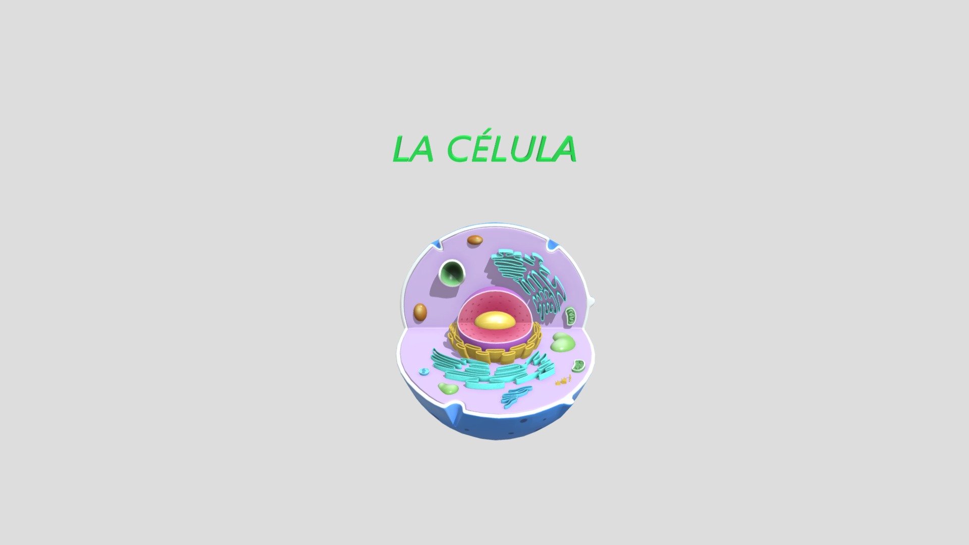 La Célula - 3D model by pilarlucioa [c032e04] - Sketchfab