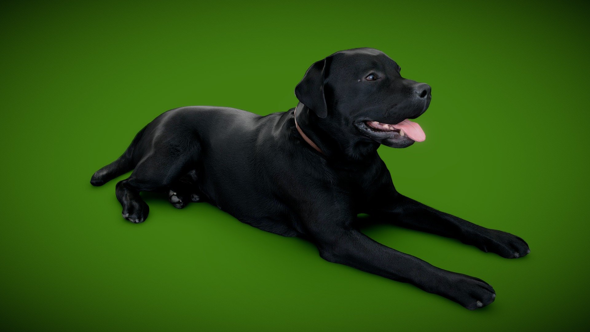 DOG A L1 Retopo - 3D model by Frank.Zwick (@Frank_Zwick) [c034418 ...