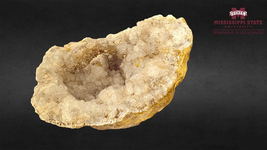 Specimen 11 - 3D model by Youngwoo Cho (@yow) [c03820c] - Sketchfab