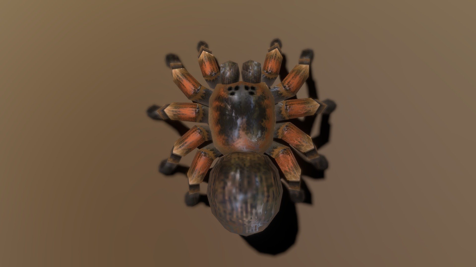 Tarantula - 3D model by ArachnoBoy (@vang807) [c03e016] - Sketchfab