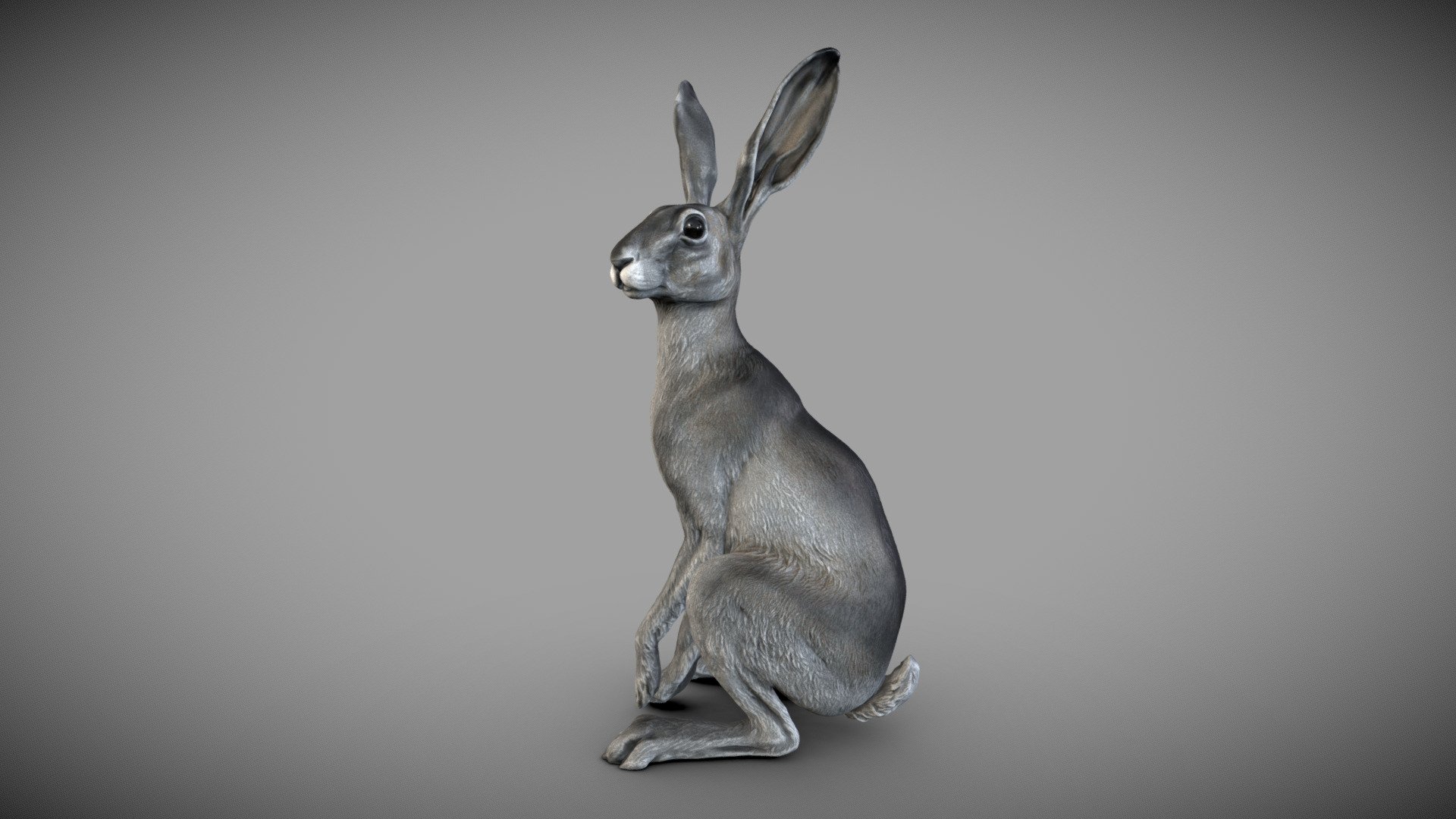 Hare | 3D Sculpting - Buy Royalty Free 3D model by BreathTime [c03e9c8 ...