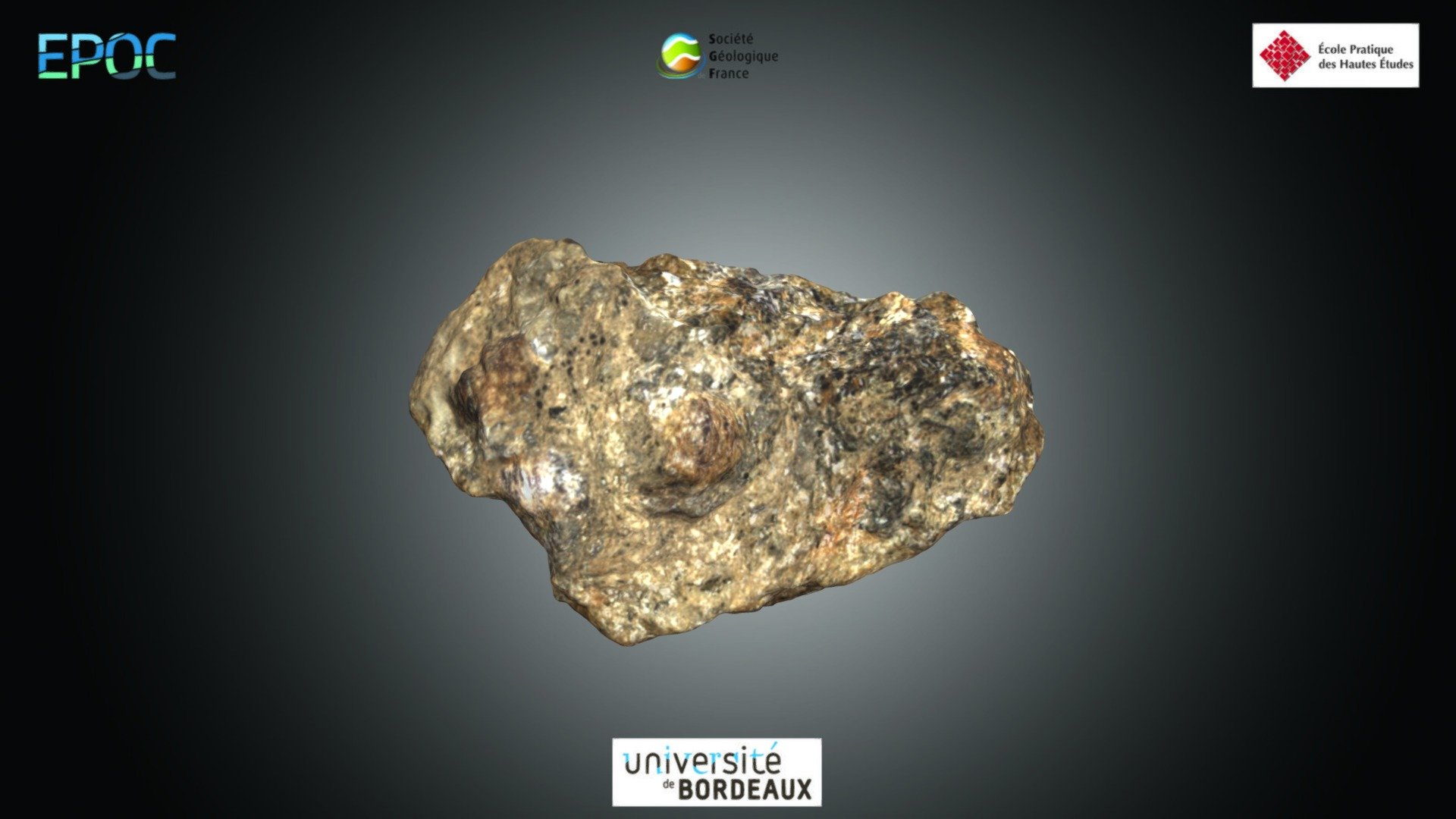 Roche - Micaschiste - Download Free 3D model by Société Géologique de ...