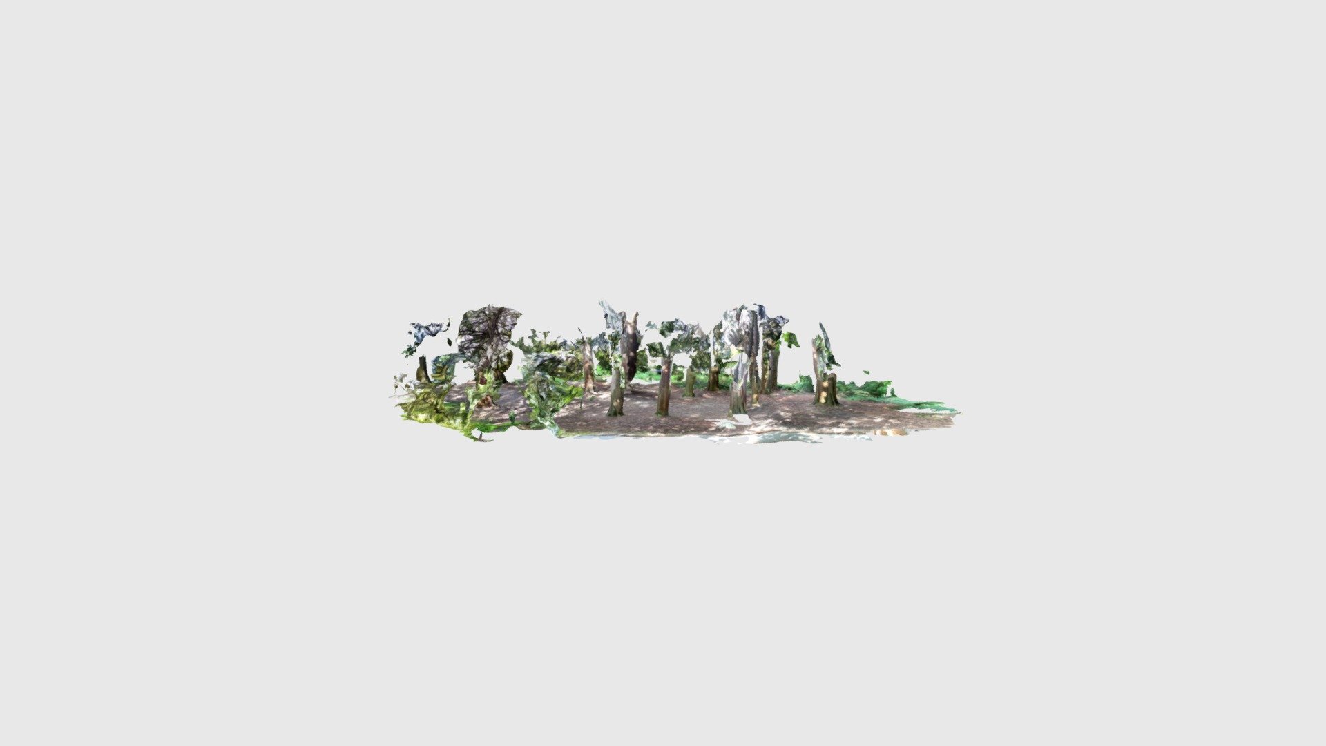 Forest - Download Free 3D model by adolfoguerramarcos [c04821b] - Sketchfab