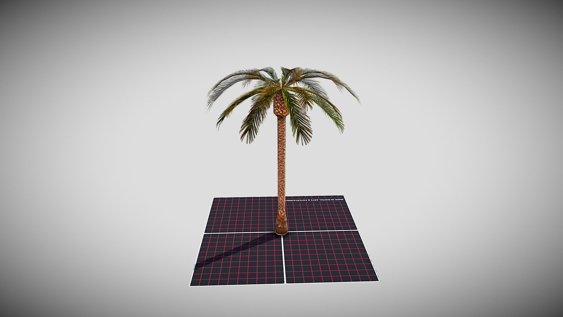 Palm Tree 3 - Download Free 3D model by Juan Carlos Yanez (@JCYanez ...