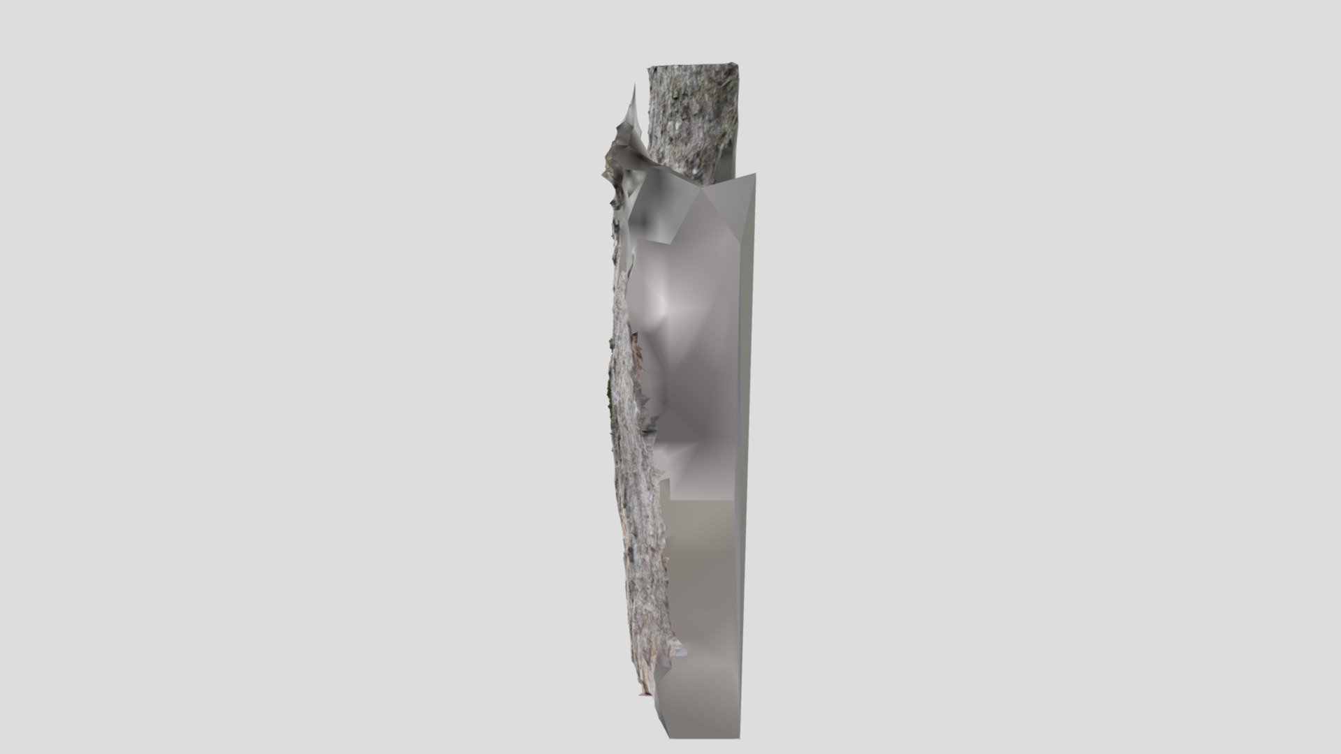 Tree Bark Detail - Download Free 3D model by renanmgs [c0668eb] - Sketchfab
