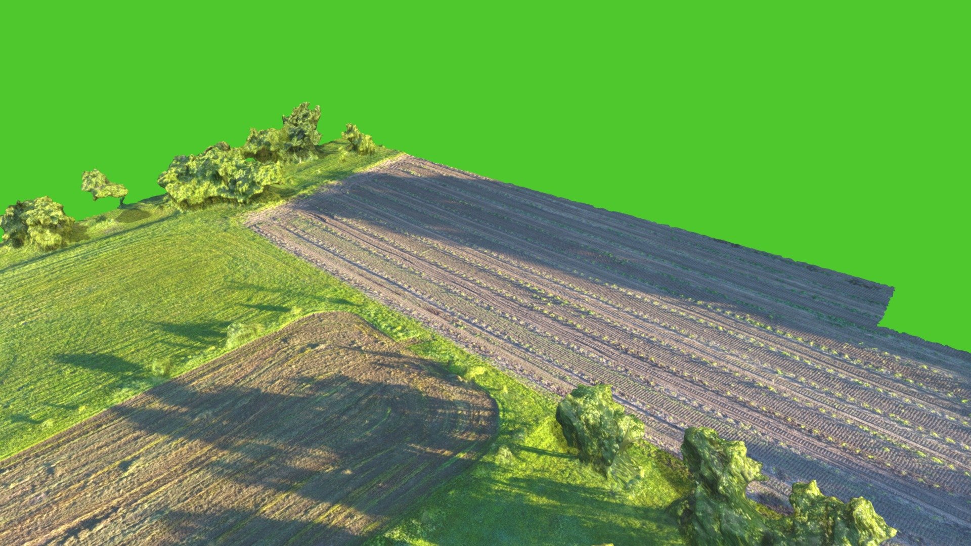 field_and_garden - Download Free 3D model by ap-school [c066e39 ...