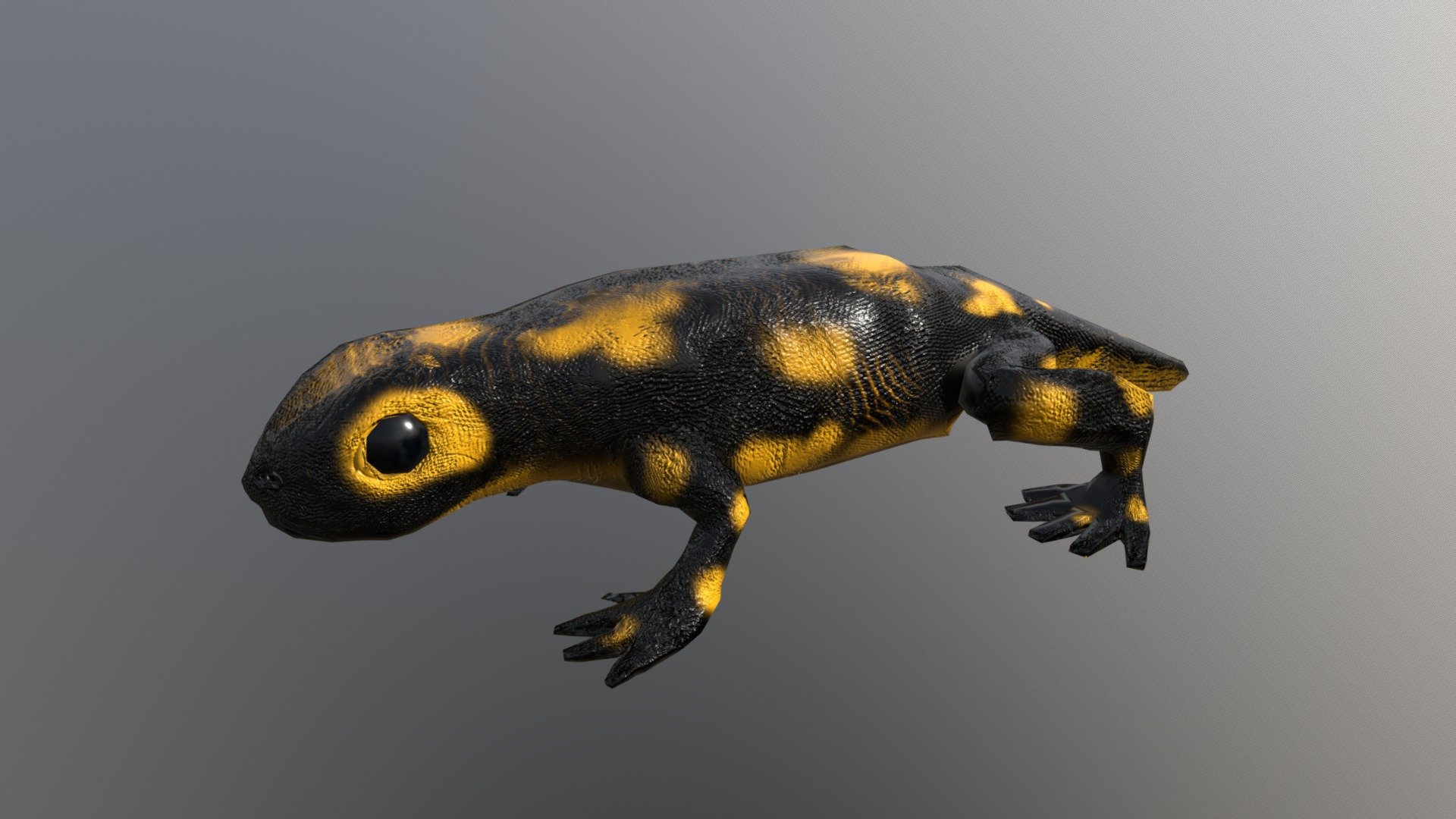 Salamander - Buy Royalty Free 3D model by 3dlowpoly [c069081 ...