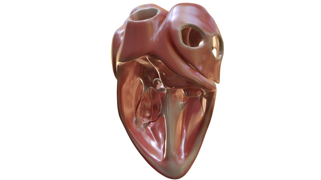 999 - 3D model by lllrasmuslll [c072fbe] - Sketchfab