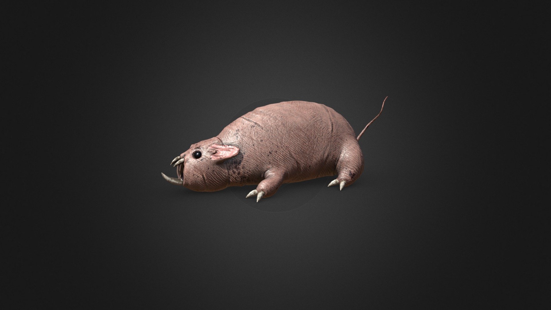 YIN SHU - 3D model by samuco (@samueldc42) [c07304b] - Sketchfab