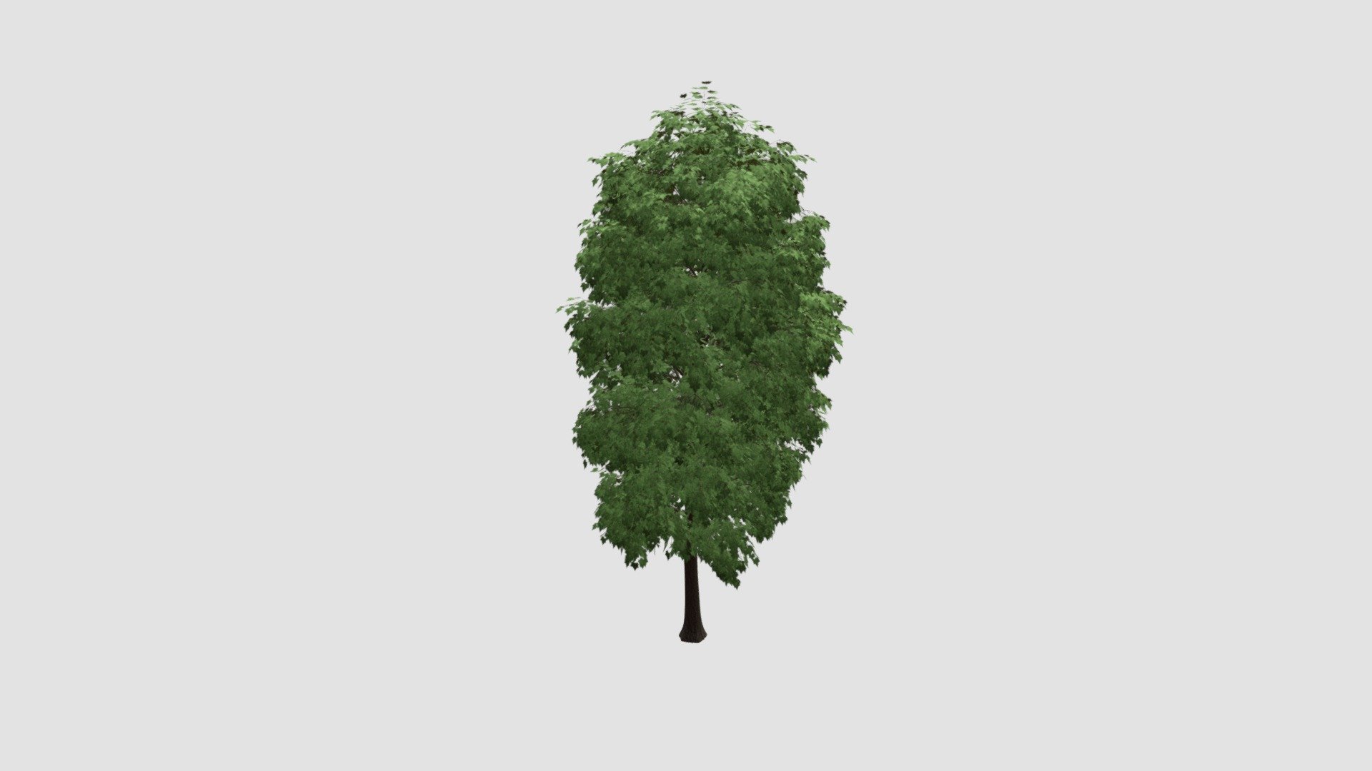 tree - Buy Royalty Free 3D model by Evermotion [c07a9dc] - Sketchfab Store