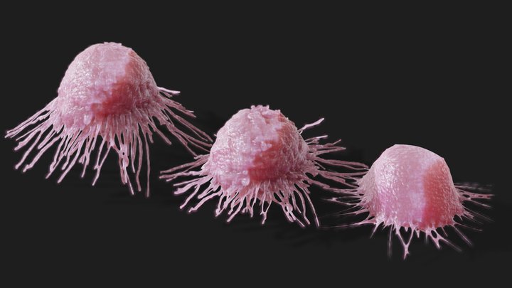 Bacteria 3D models - Sketchfab