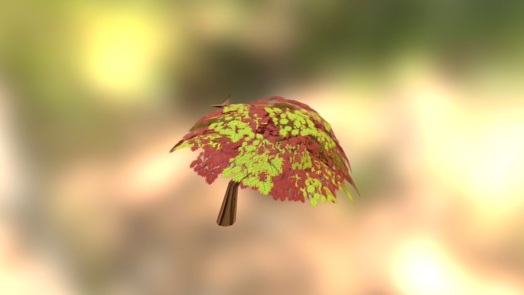 Slanted Tree - 3D model by CaraFacelo [c08946d] - Sketchfab