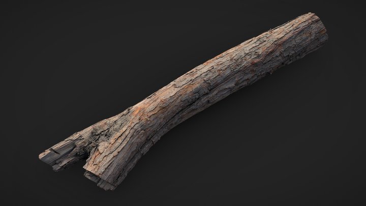 Beam 3D models - Sketchfab