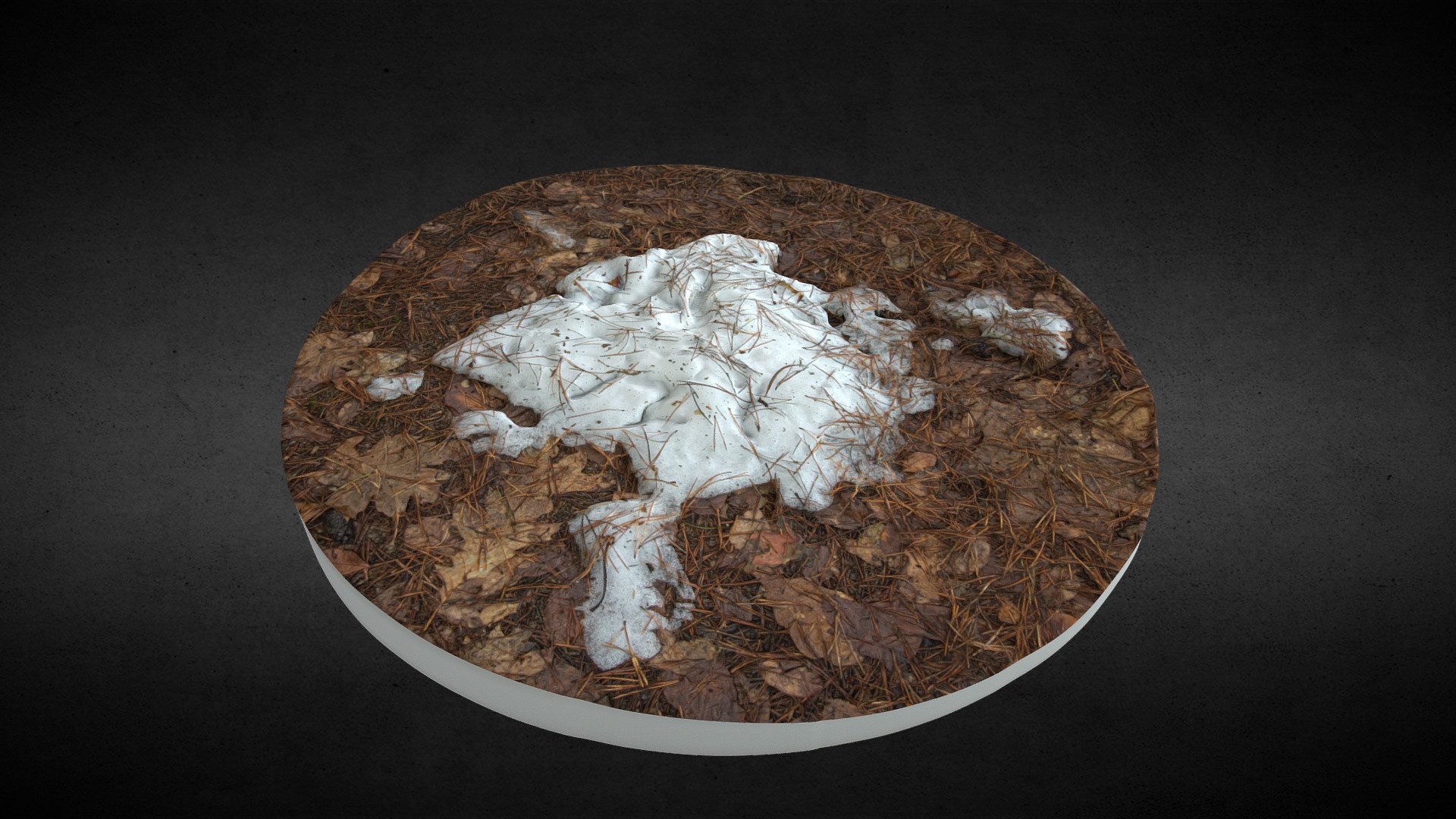 Snow patch on leaves - Download Free 3D model by Zygomir.Fabricati.Diem ...