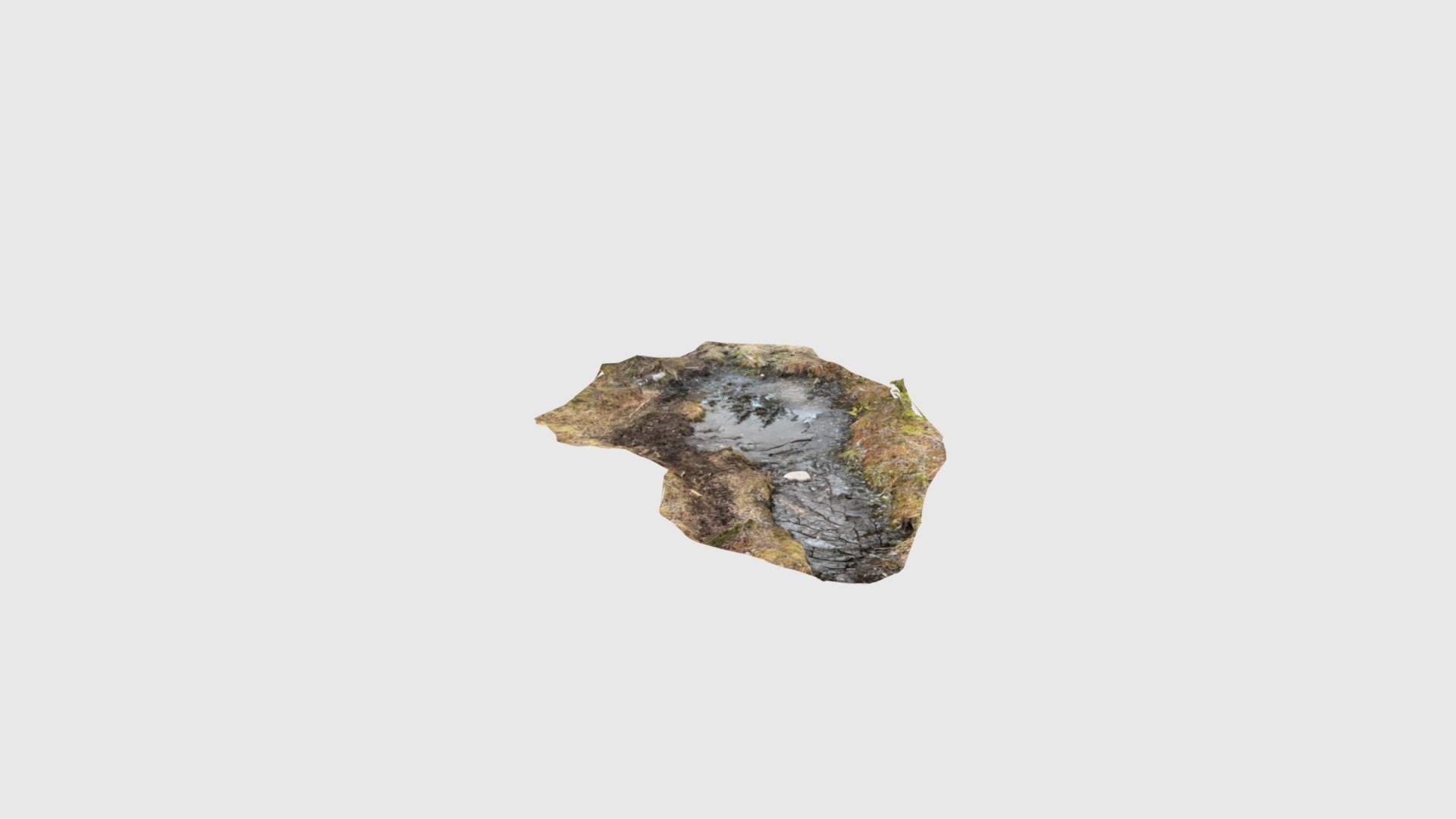Forest puddle - Download Free 3D model by fraxinusenviro (@ibryson ...