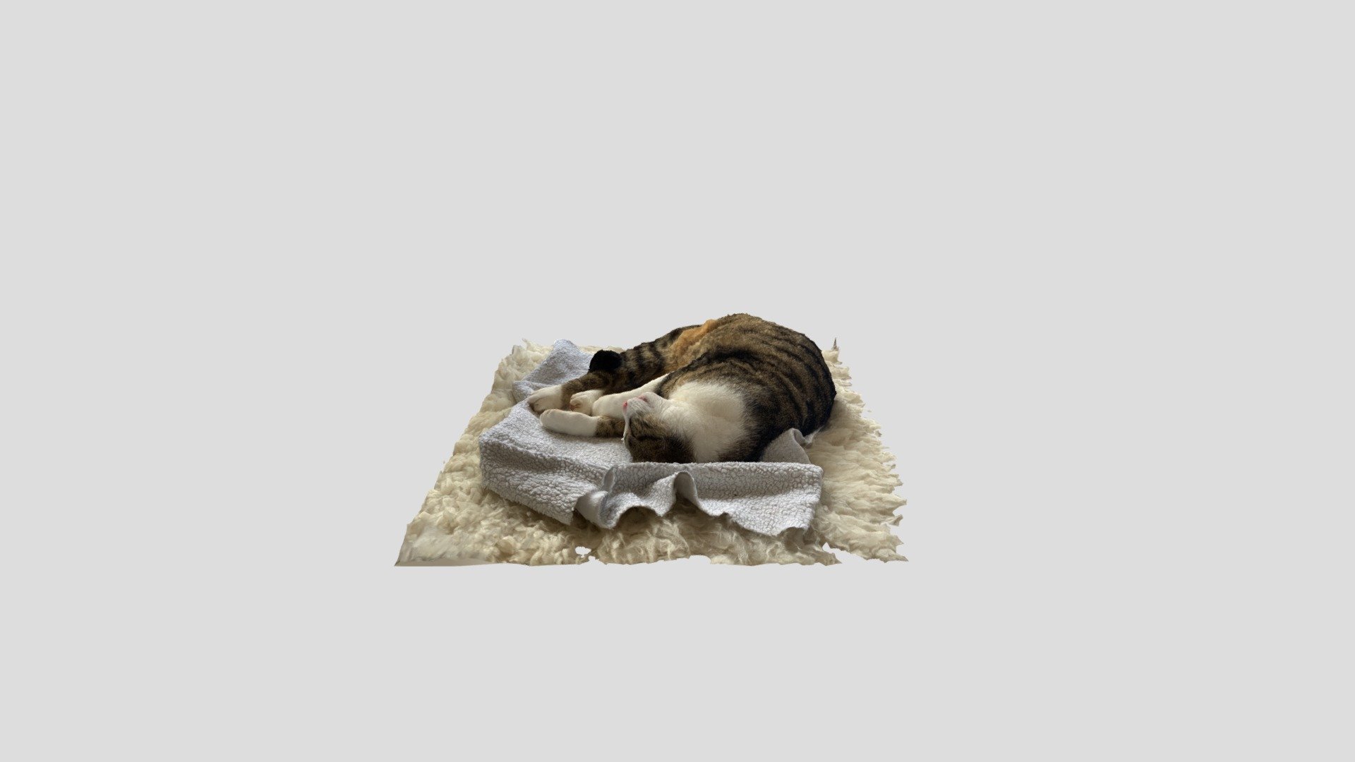 Cat sleeping - 3D model by Sternworks. (@janne.inhestern06) [c09656f ...