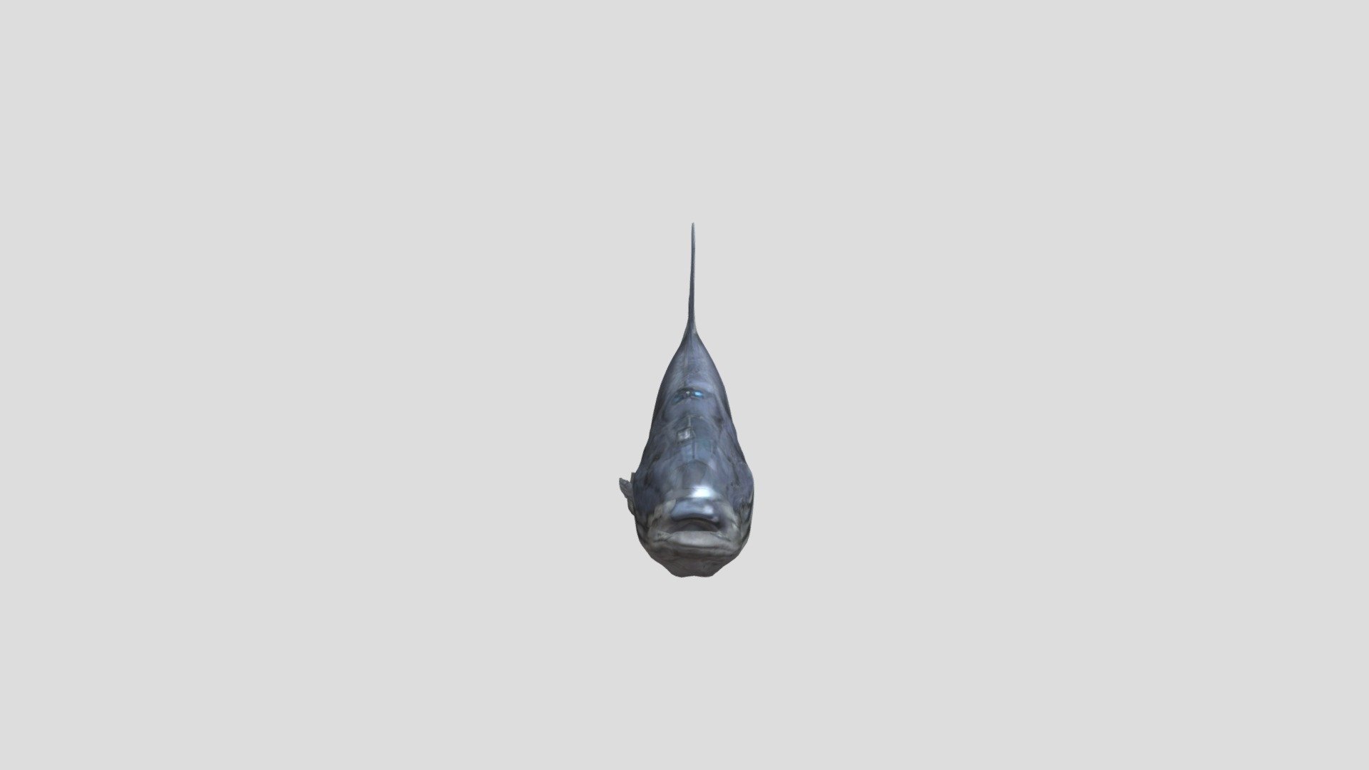 Mawsonia With AI - Download Free 3D model by Rainbow Yoshi Gun ...