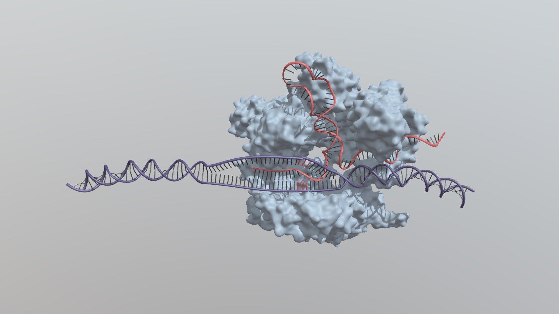 CRISPR/Cas-9 system - 3D model by alexmck [c09fac7] - Sketchfab