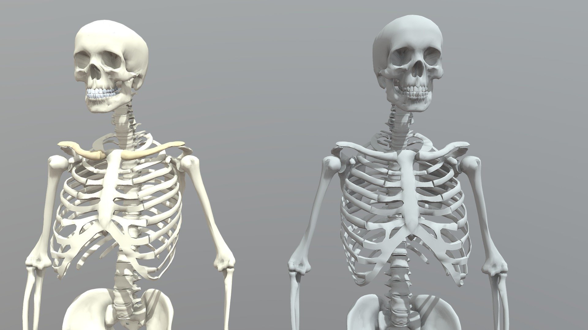 Skeletons - 3D model by SD Designer (@Mohan355634gh) [c0ad5ee] - Sketchfab