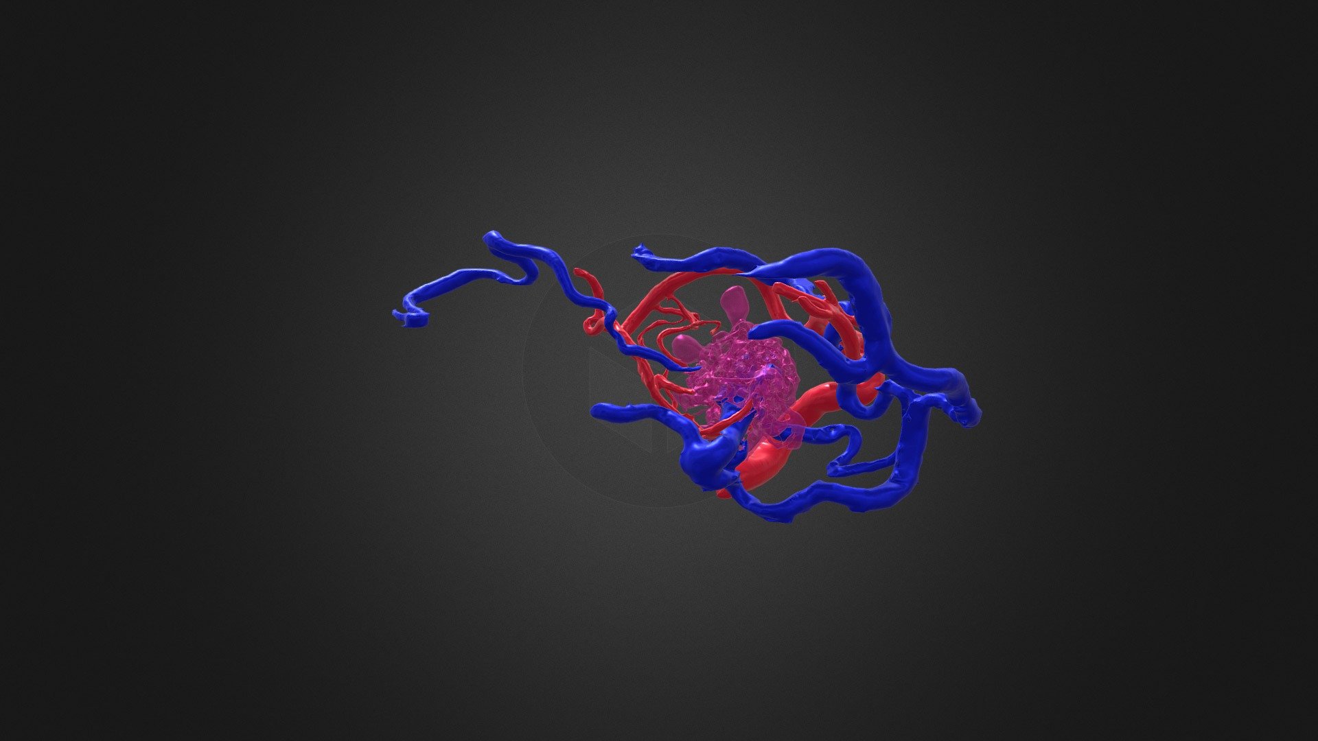 MAV temporal basal - Download Free 3D model by jorgegonzalezcantero ...
