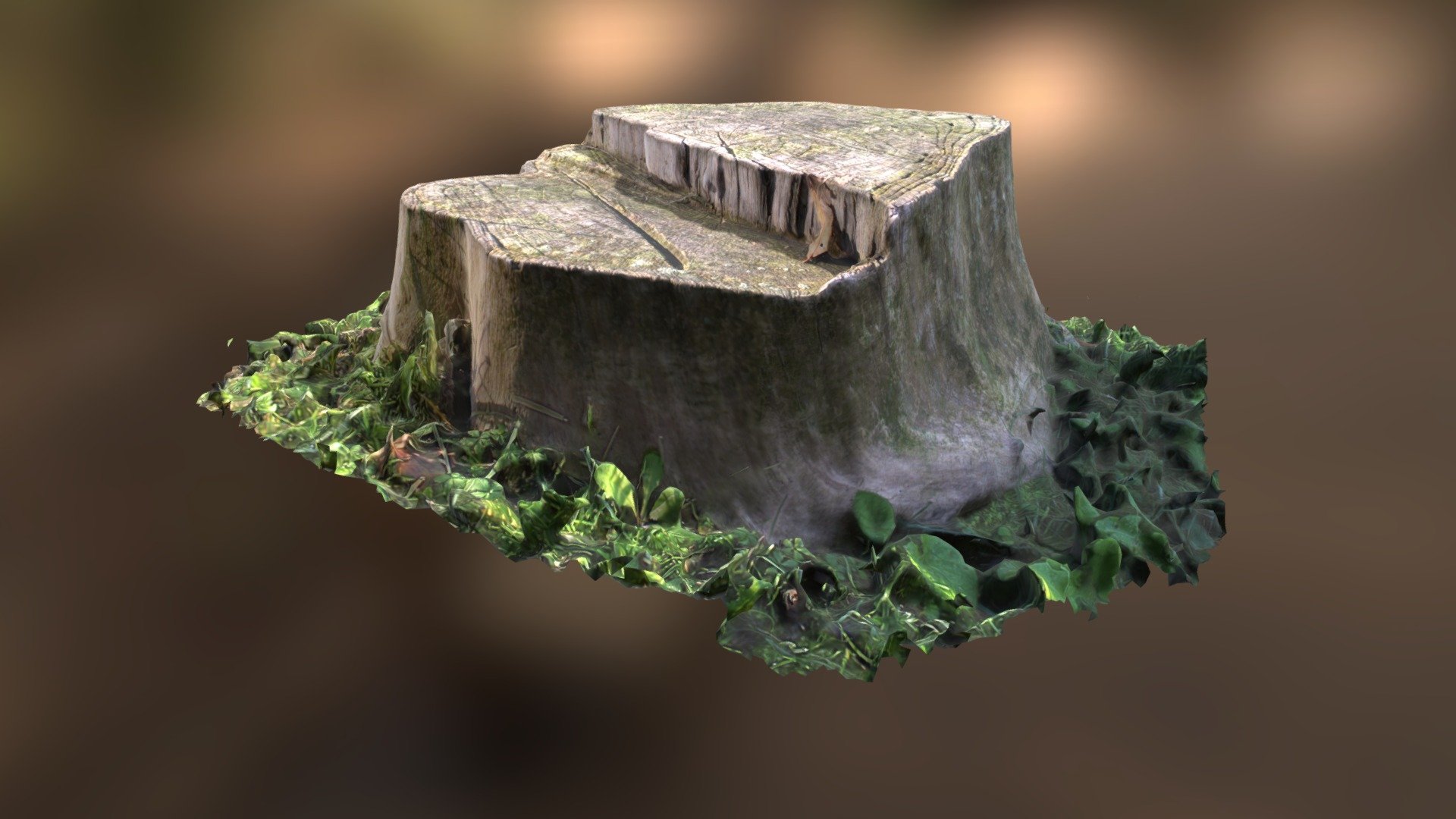 Tree Trunk scanned with photogrammetry - 3D model by uCreateStudio ...