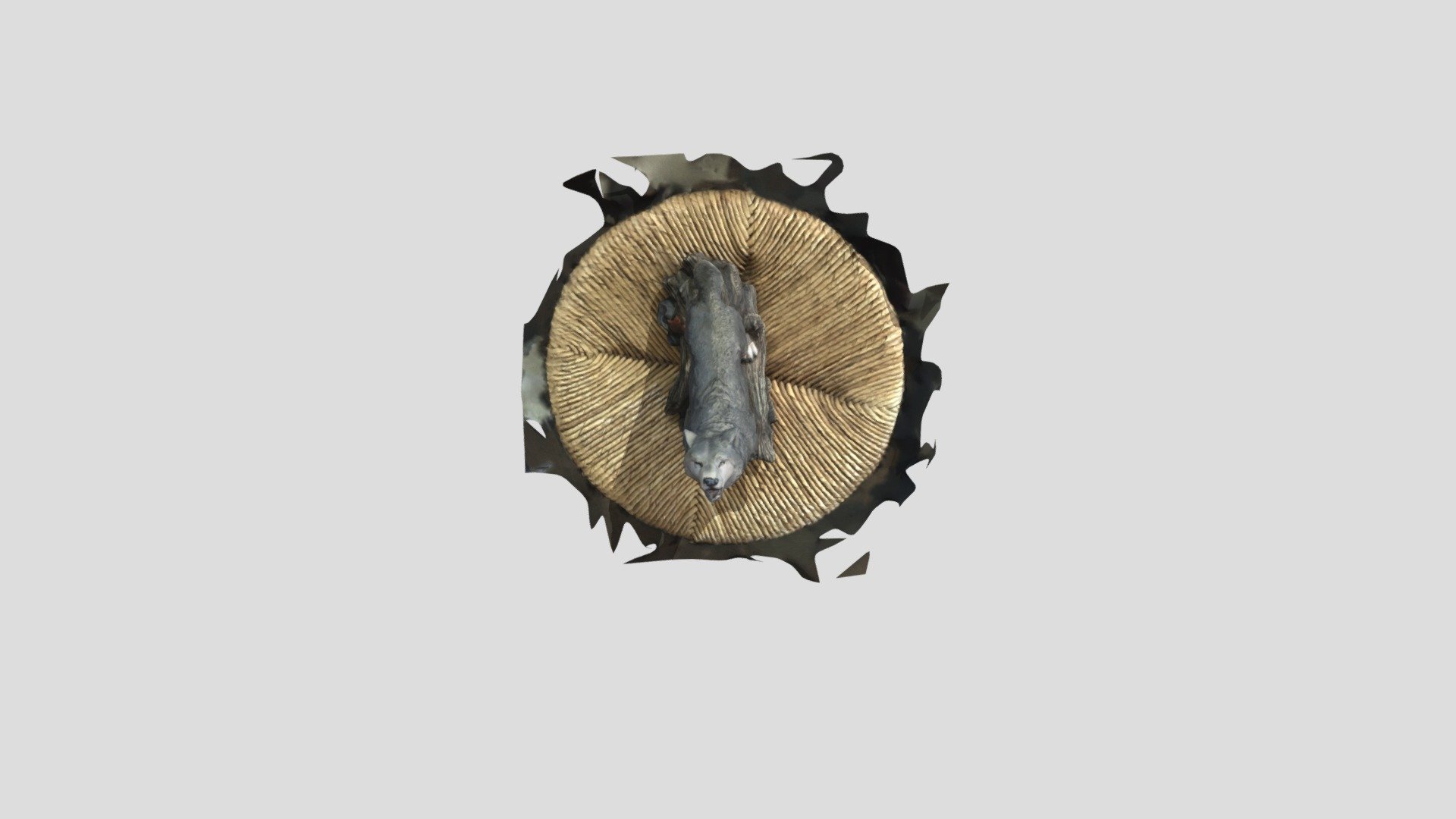 CE Lab 8 Wolf - 3D model by glopezramos [c0b74f5] - Sketchfab