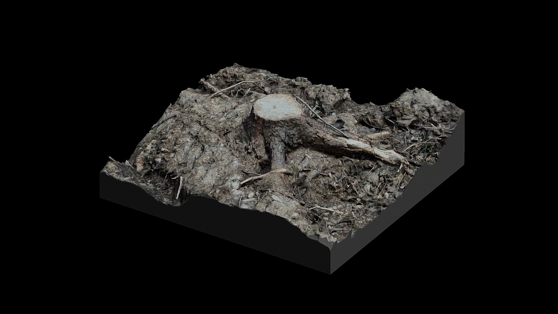 Photoscanned Trunk with some ground - Buy Royalty Free 3D model by ...
